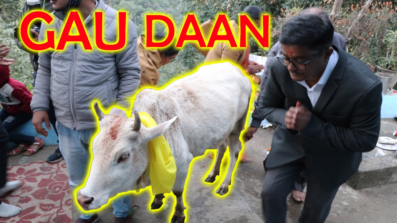 GAU DAAN - AARTI WEDS DEEPAK | Mr.Pahadi - YouTube
