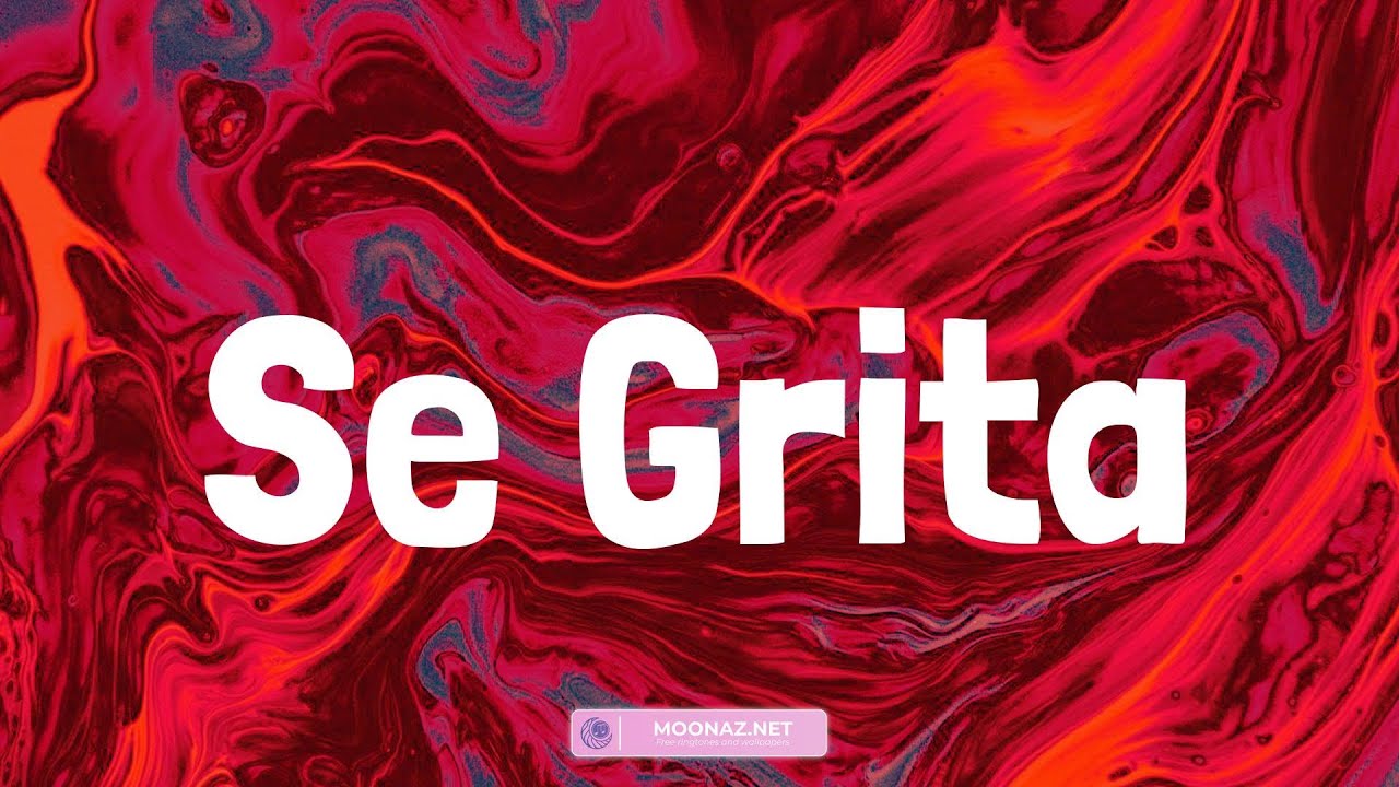 Se Grita - Morad (Lyrics) - YouTube