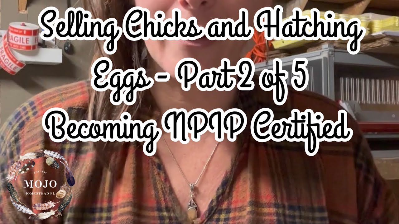 Are you considering becoming NPIP certified?! **Watch This First ...