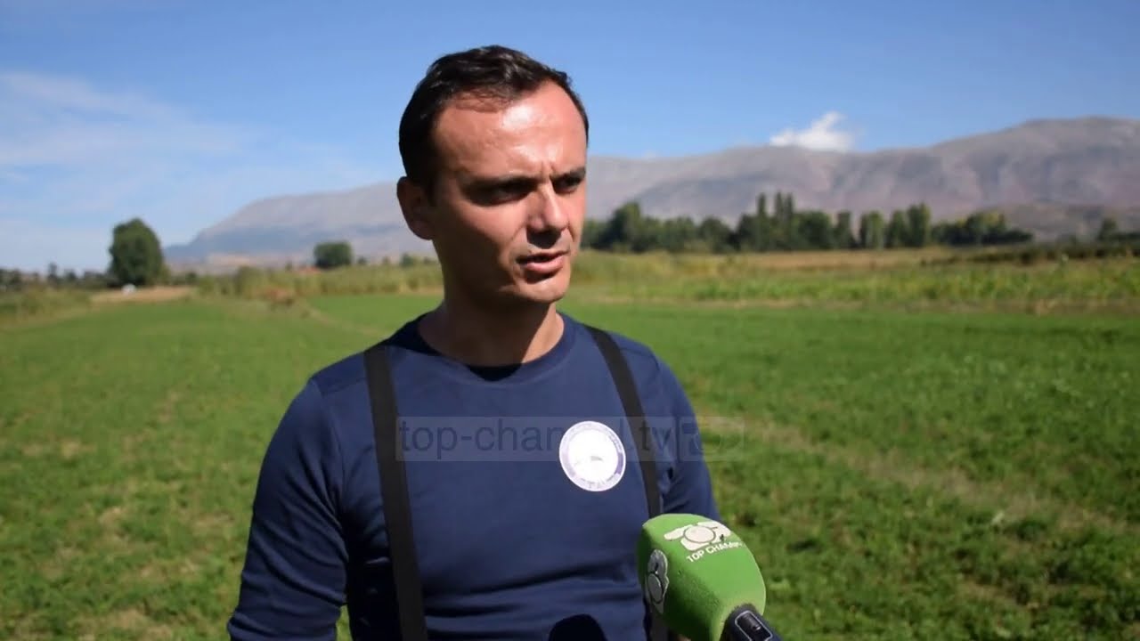 Lejleku rikthehet në Maliq/ Prej gjysmë shekulli ishte zhdukur nga kjo ...