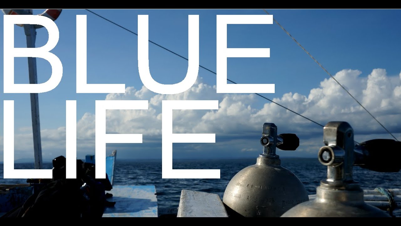 BLUE LIFE 2016 - YouTube