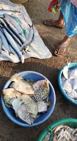 #Vade Fish 🐟🐠 @bhukkadjayesh6613 - YouTube