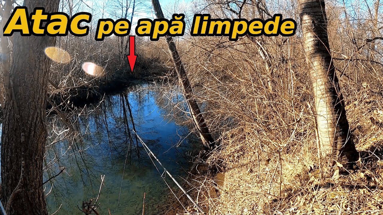 Cleanul Atacă Gume pe Apă Limpede în Luna Februarie 2024 - YouTube