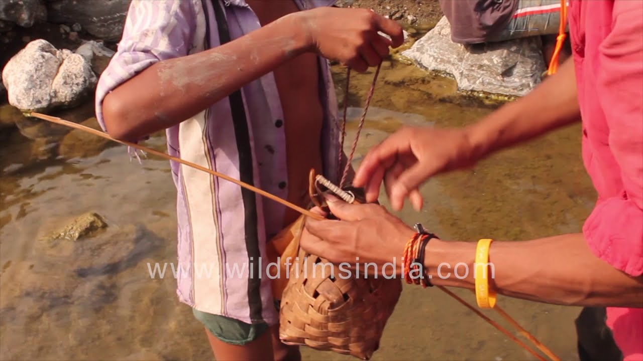 Crab catching method of tribal communities in a stream in the Satpura ...