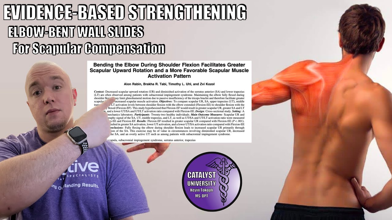 Evidence-Based Shoulder Strengthening | Dealing with Scapular Compensation - YouTube
