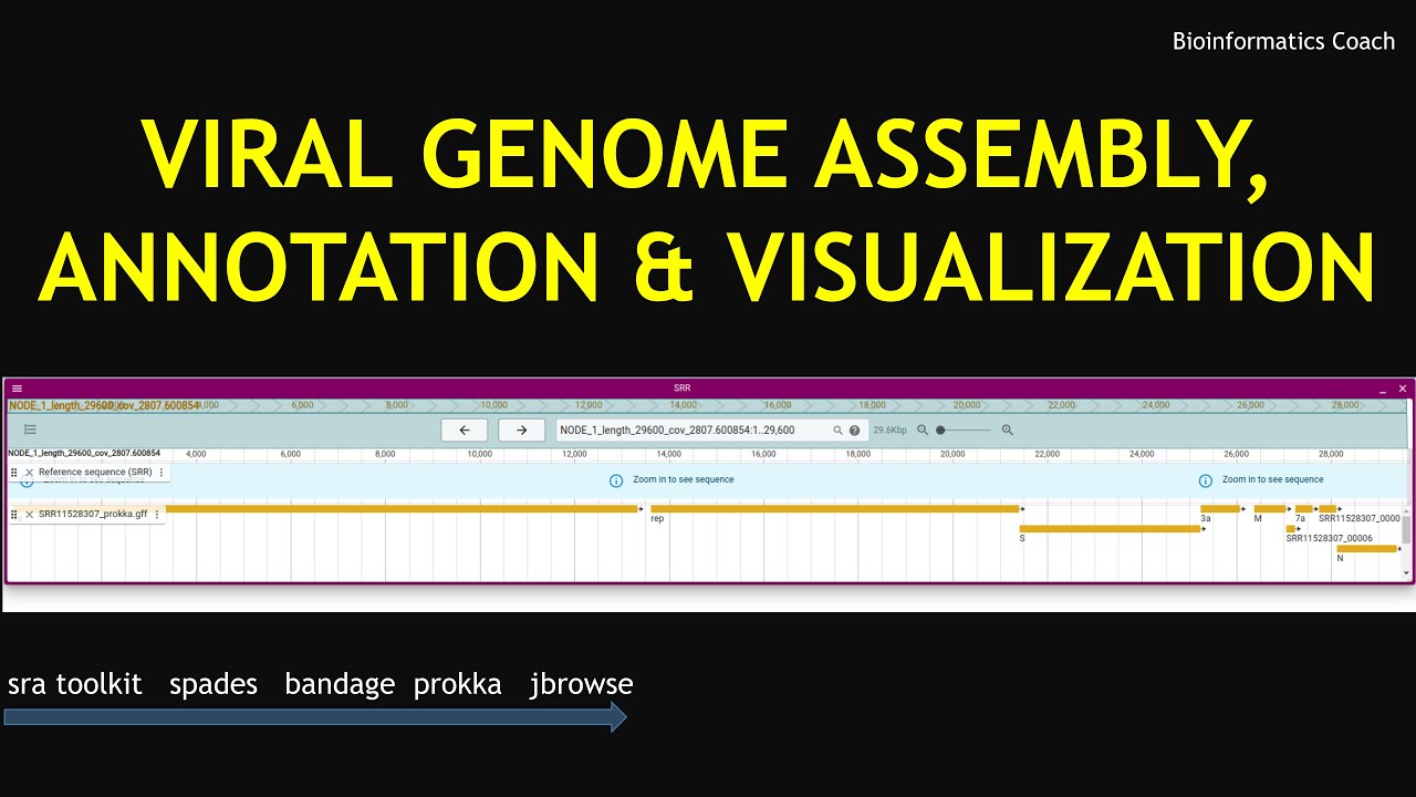 Viral Genome Assembly and Annotation - YouTube