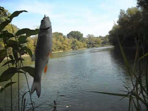 Pescuit pe raul Prut ep.1 - YouTube