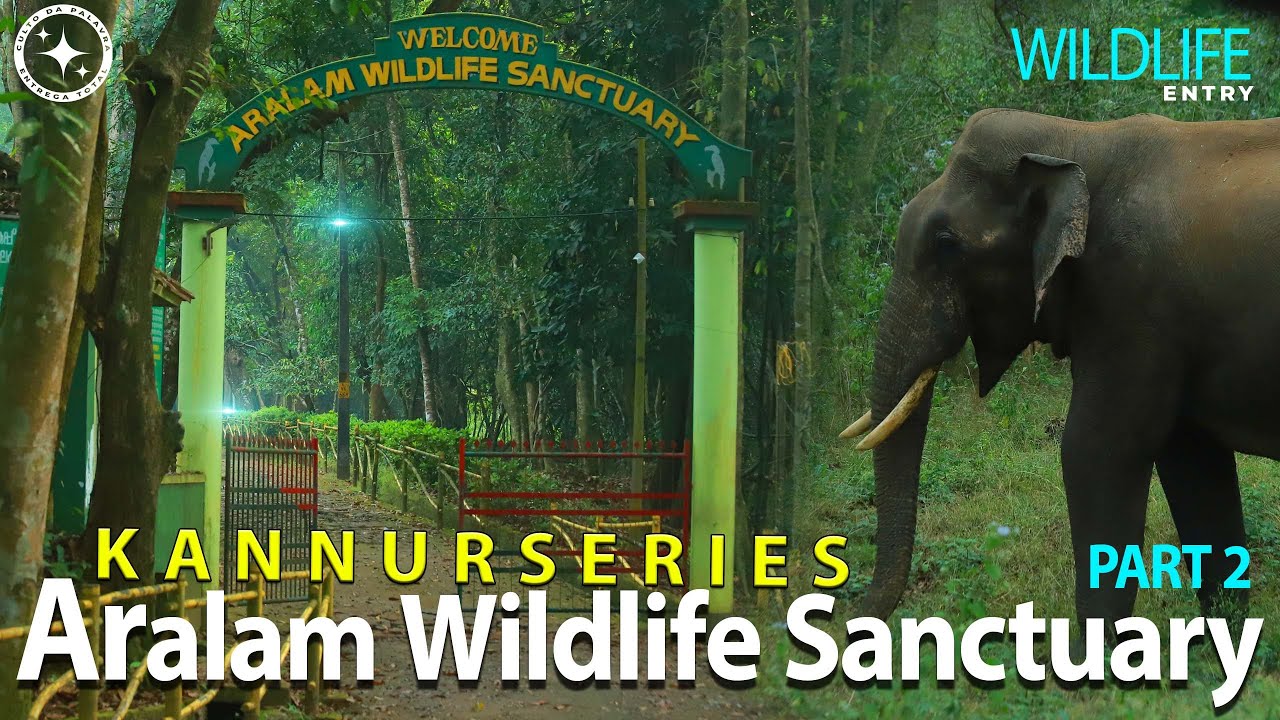 ARALM WILDLIFE SANCTUARY | ARALAM TREKKING | ARALM WILDLIFE SANCTUARY ...