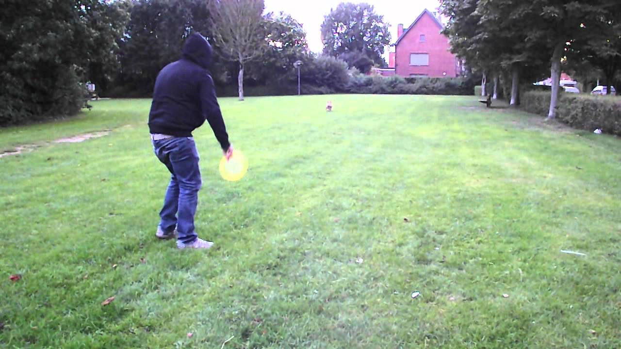 Sam frisbee playtime - YouTube