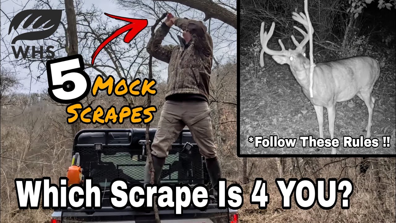 5 Mock Scrapes That Work | And More... - YouTube