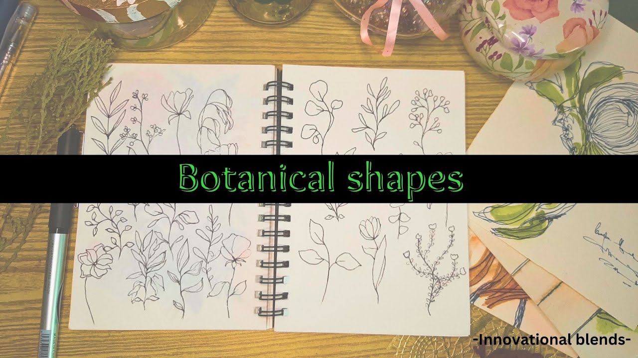 Every leaves you'll ever need l How to draw leaves & Botanicals for ...