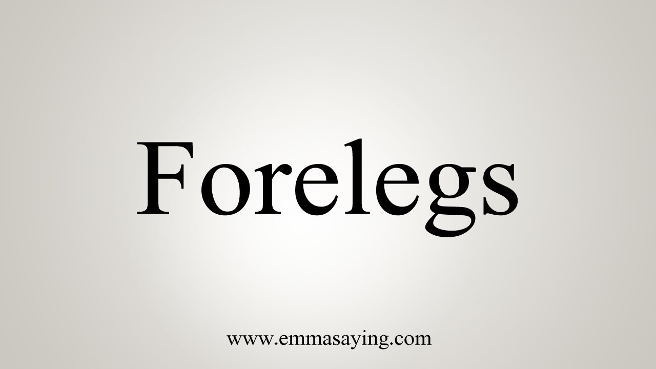 How To Say Forelegs - YouTube