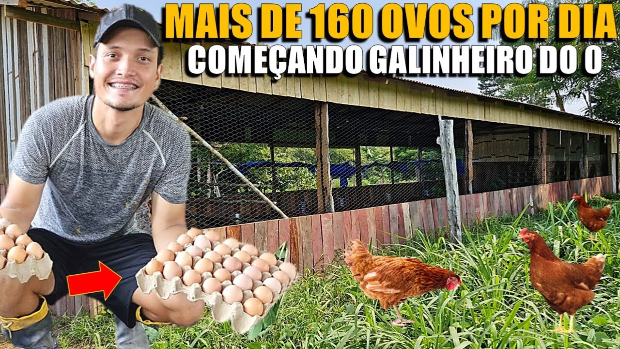 Como Fazer um Galinheiro | O nosso ficou pronto | Colhendo muitos Ovos ...