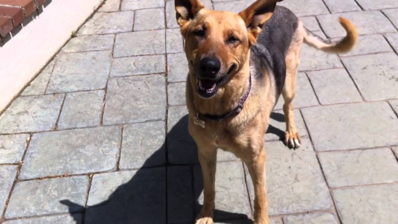 Wallace Terrance 2 day freedom.MOV - YouTube