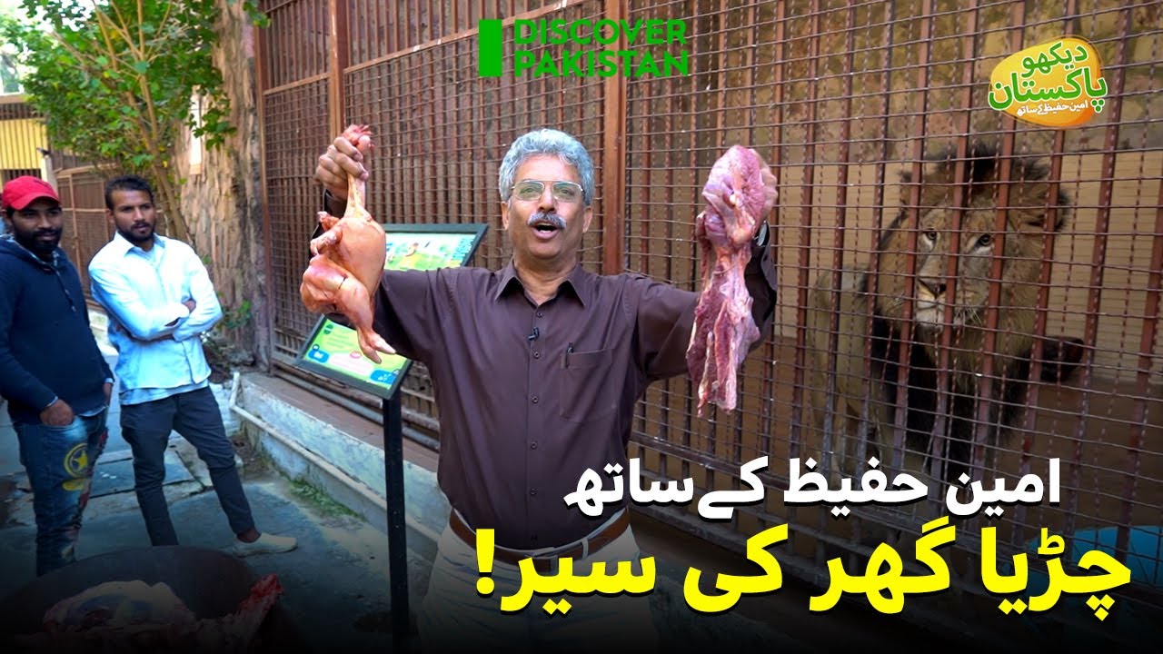 Lahore Zoo Visit With Amin Hafeez | Discover Pakistan TV - YouTube