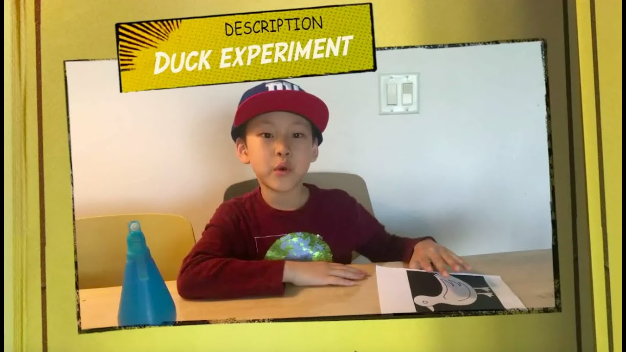 Duck Experiment_How do birds protect themselves from the weather? - YouTube