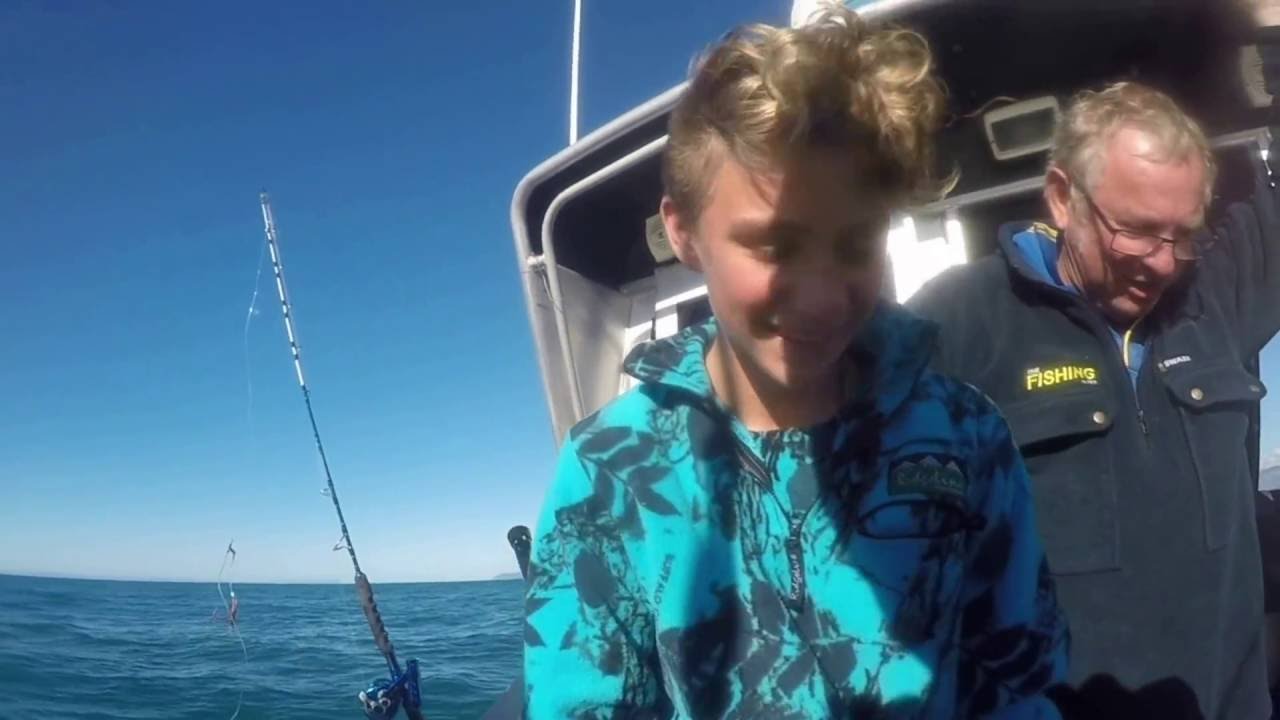Big blue cod in the Marlborough Sounds New Zealand - YouTube