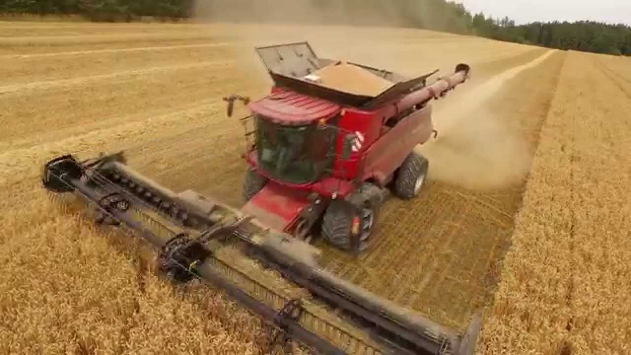 Case IH Axial Flow 9230 v Agro Temelín - YouTube