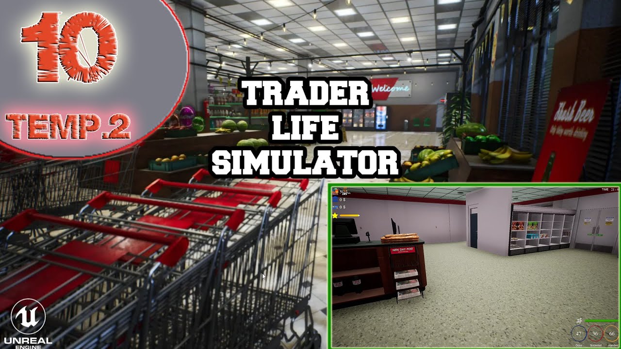 🛒 Trader Life Simulator Gameplay en Español | - 10 - | Zona de Frio ...