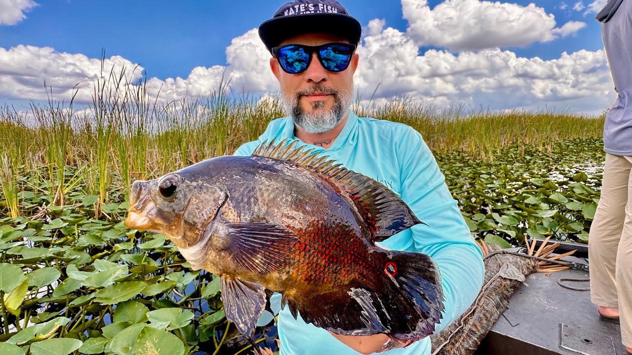 Fishing the Florida Everglades For Oscar - YouTube