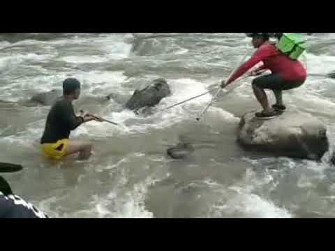 Cara mancing ikan dengan cara di setrum terbaru !! Sebentar saja ...