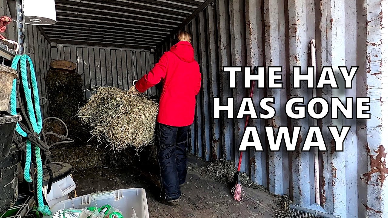 The Hay Has Gone Away - YouTube
