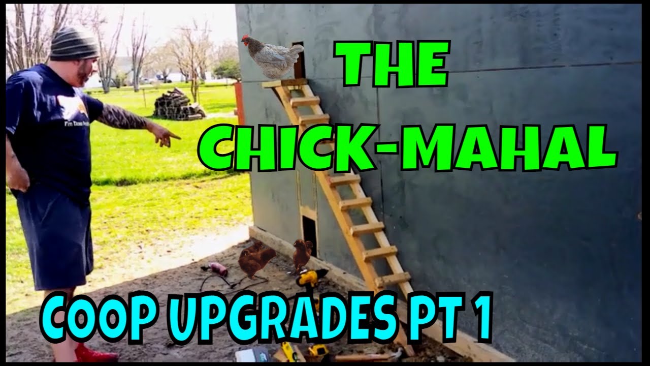 Adding Door + Stairs To Chicken Coop Remodel/ Chicken Coop Overhaul! Pt ...