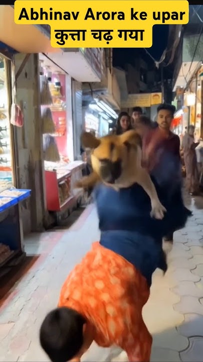 Abhinav Arora ke upar कुत्ता चढ़ गया - YouTube