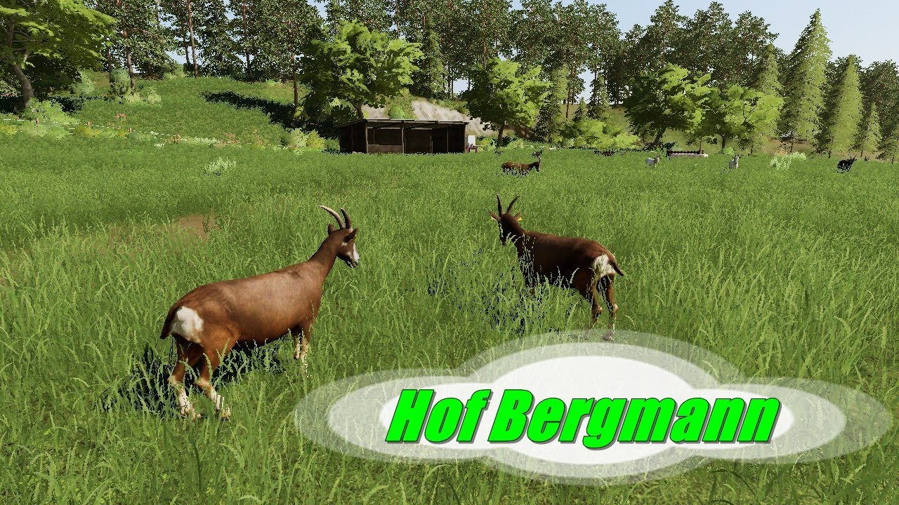 LS19 | Hof Bergmann | 1.0.0.62 | #35: Ziegen Umgesiedelt ...