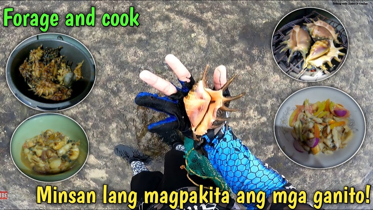 Casting nauwi sa pamumulot ng saang | Forage and cook - YouTube