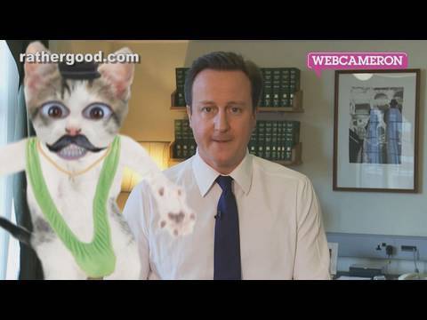 Conservative Party Cat - YouTube