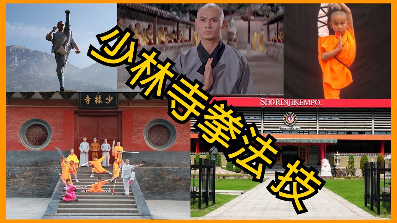 Demonstration of Shaolin Kempo technique, Shorinji Kempo, master class ...