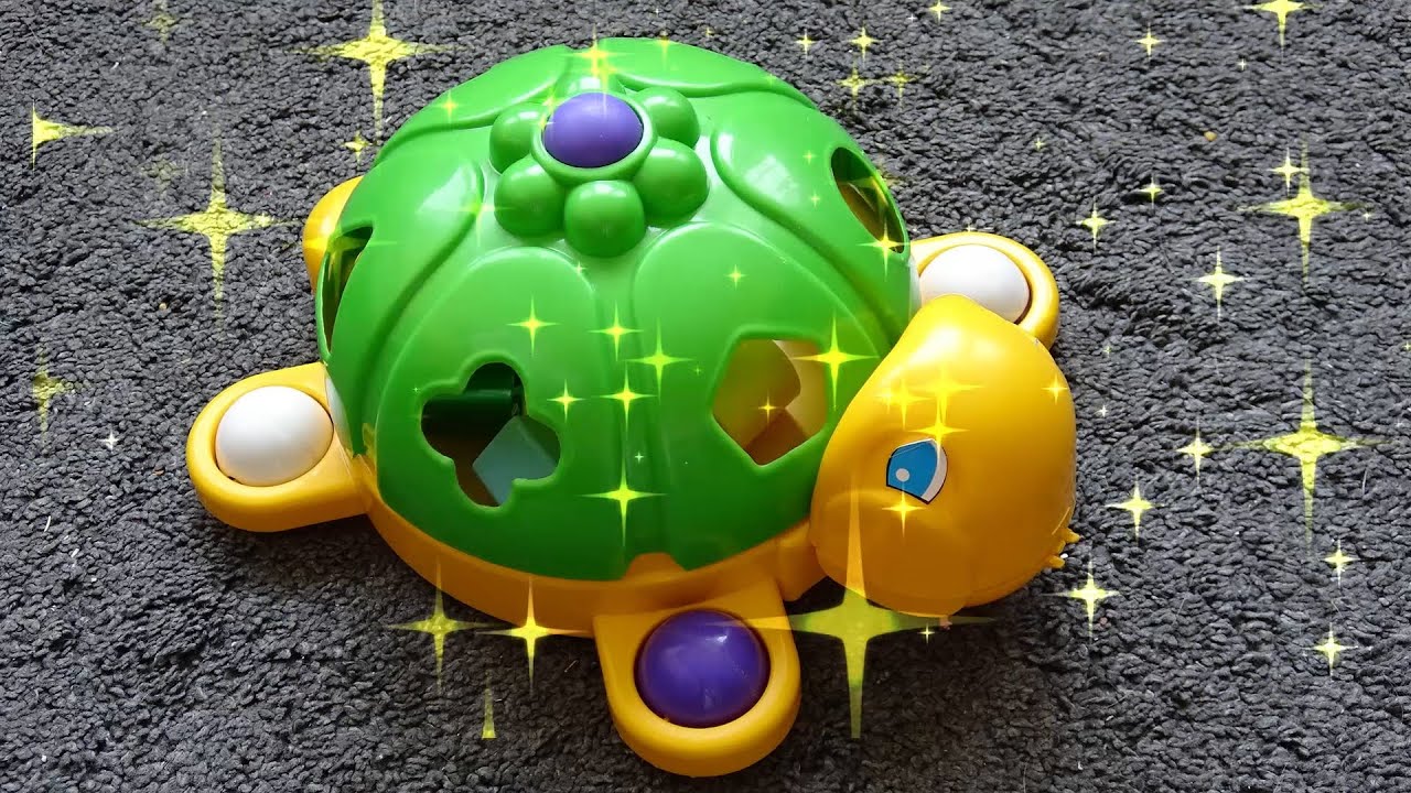 Shape Sorter Toy Turtle needs to find his Shapes for the Kids - YouTube