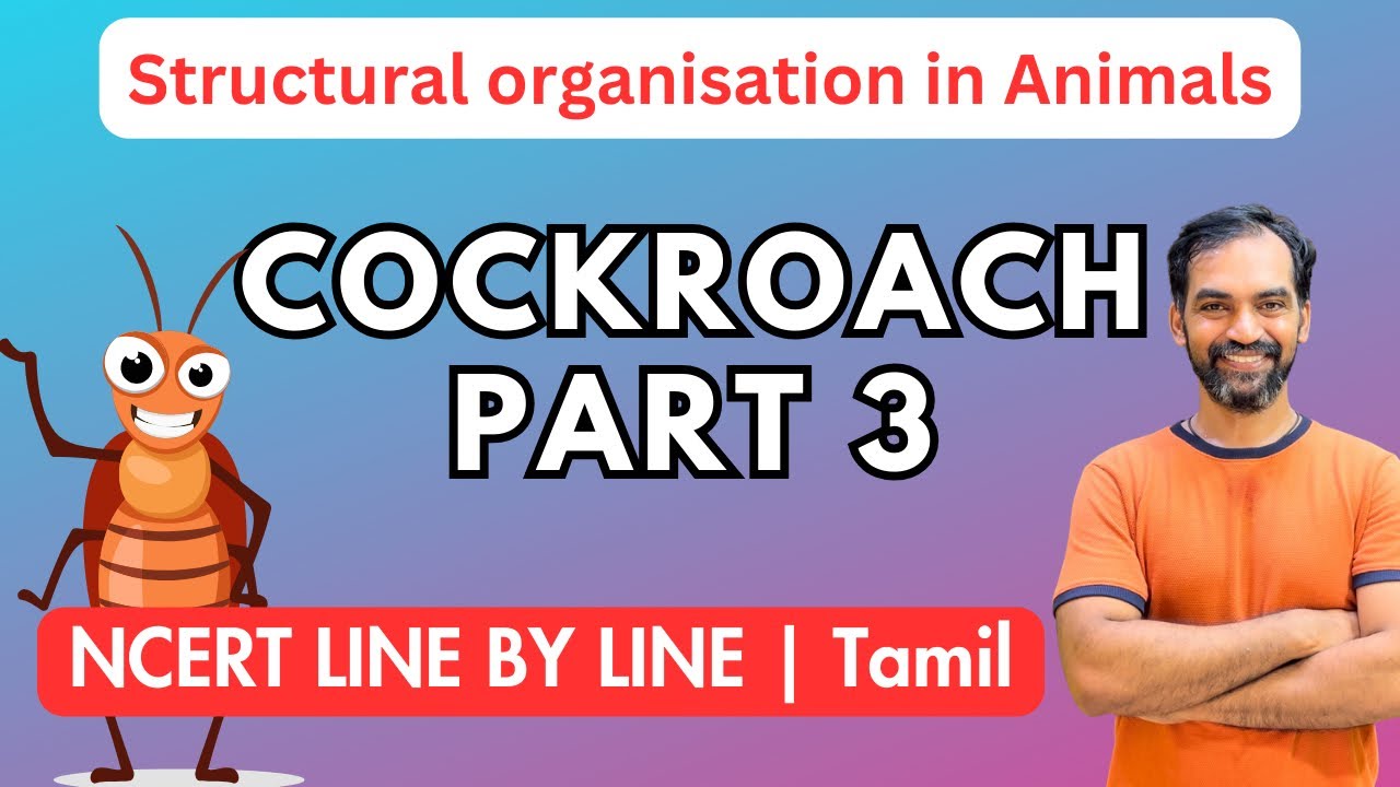 Cockroach in Tamil | Part 3 | NCERT Line by Line - YouTube