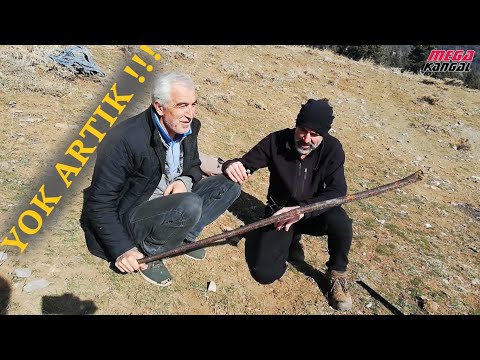 YOK DAHA NELER!!! SOPAYLA DOMUZU DEVİRDİ YOBAZ DA GEREKENİ YAPTI lowered the wild boar with a stick