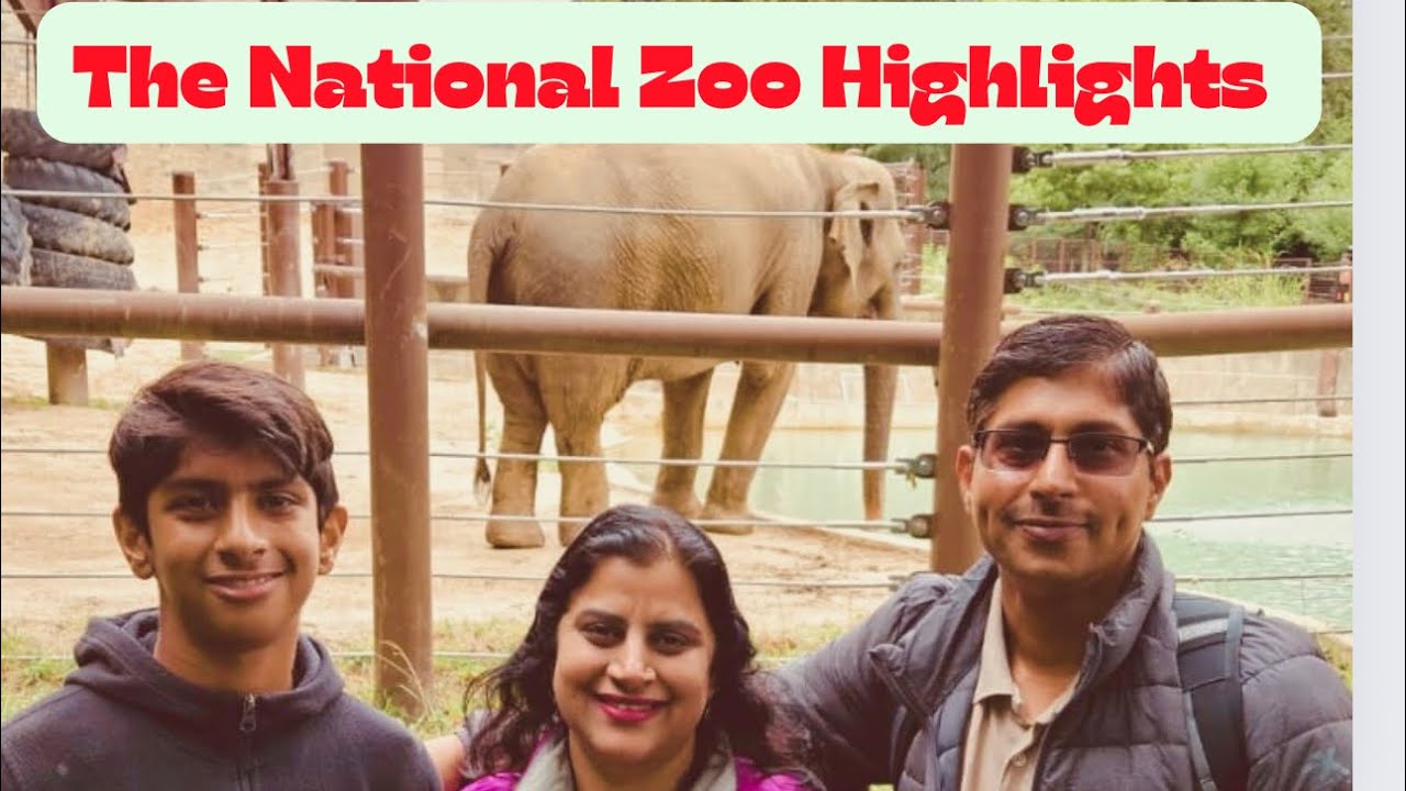 Work Experience At The National Zoo – HBYRGQ