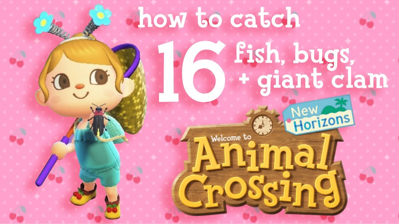 HOW TO CATCH 16 Fish, Bugs, + Giant Clam in Animal Crossing New ...