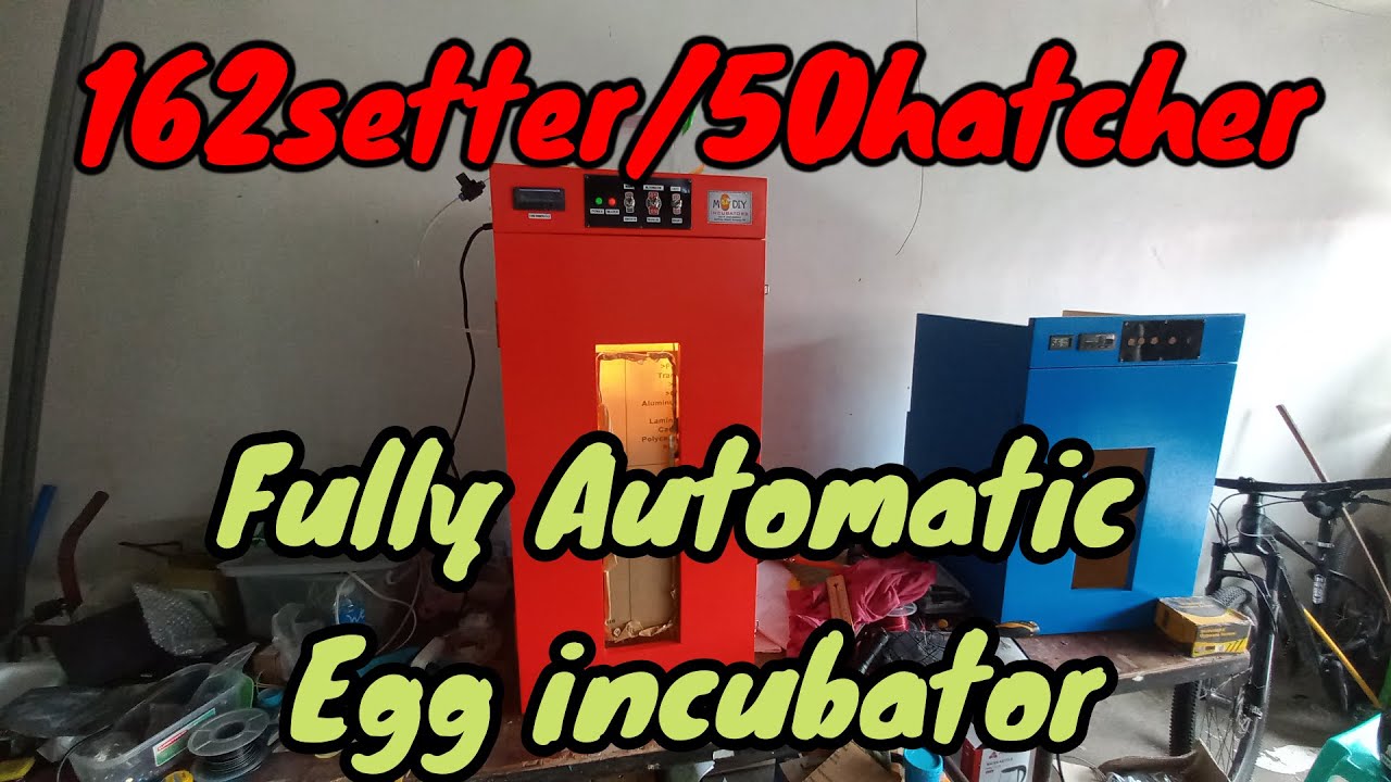 162 setter with 50 hatcher Fully Automatic Egg incubator - YouTube