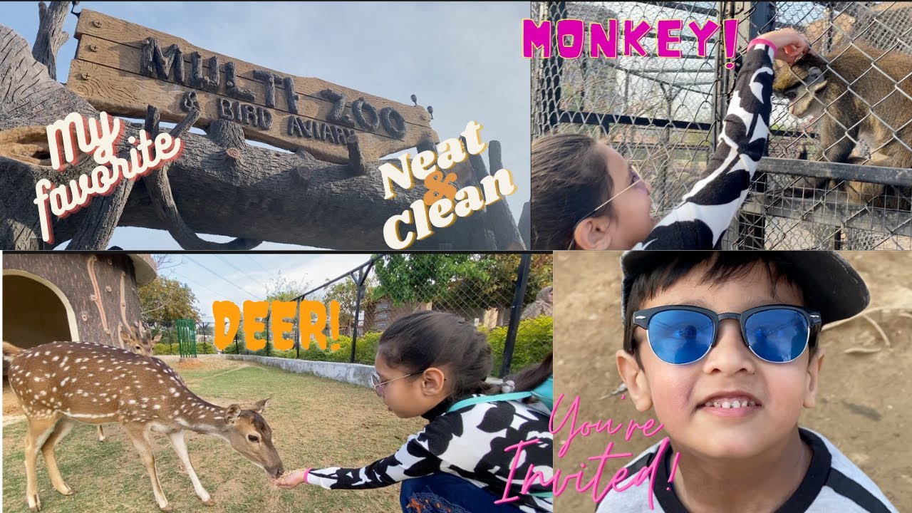 Best Zoo In Islamabad 'MULTI ZOO' my Favorite must visit - YouTube