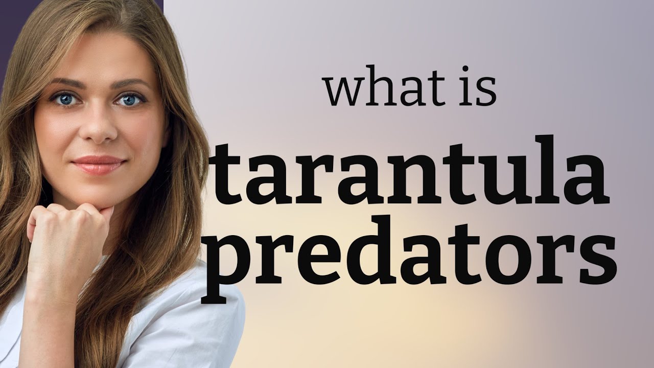 Unveiling the Hunters: Tarantula Predators - YouTube