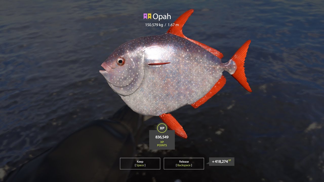 Russian fishing 4 Norwegian Sea Trophy Opah - YouTube