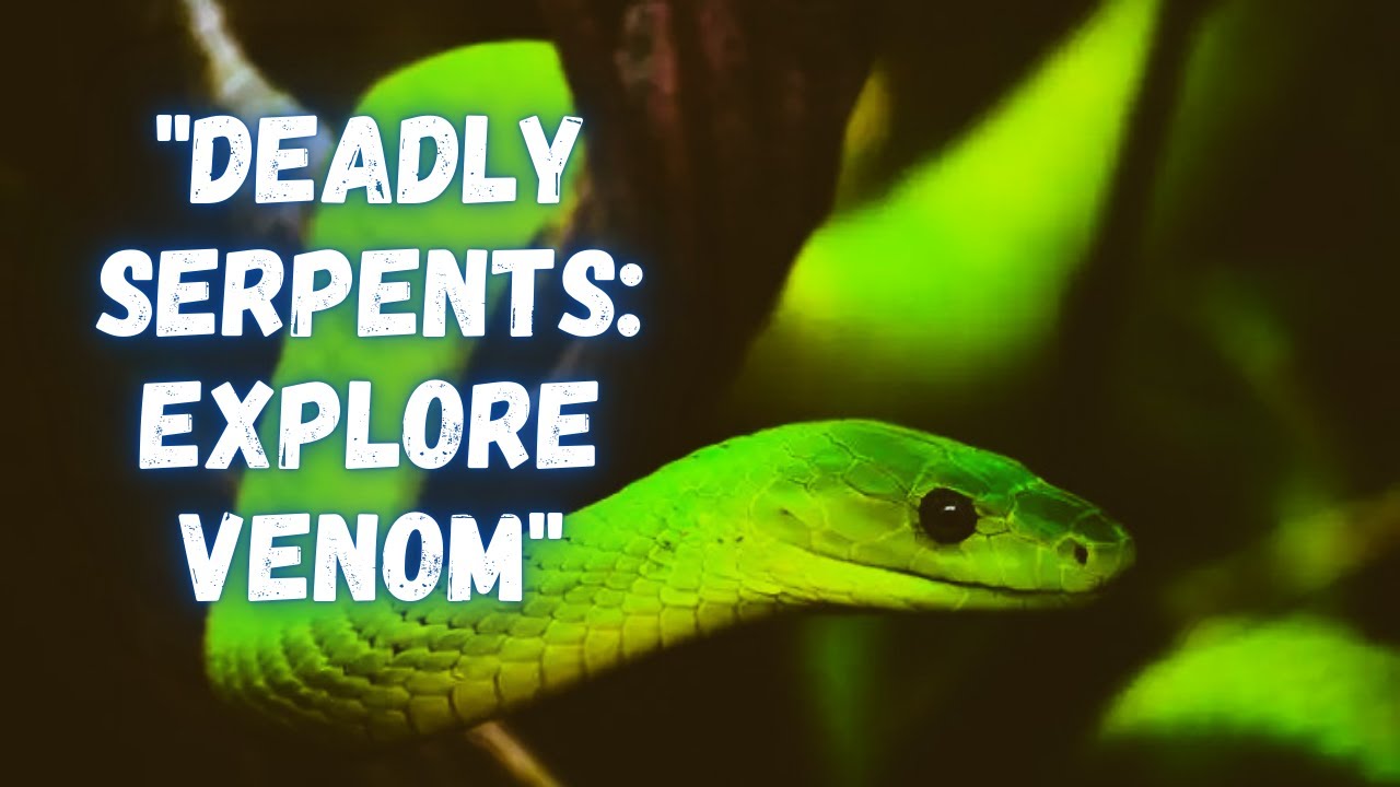 Venomous Vipers: Exploring the Deadliest Snakes Worldwide - YouTube