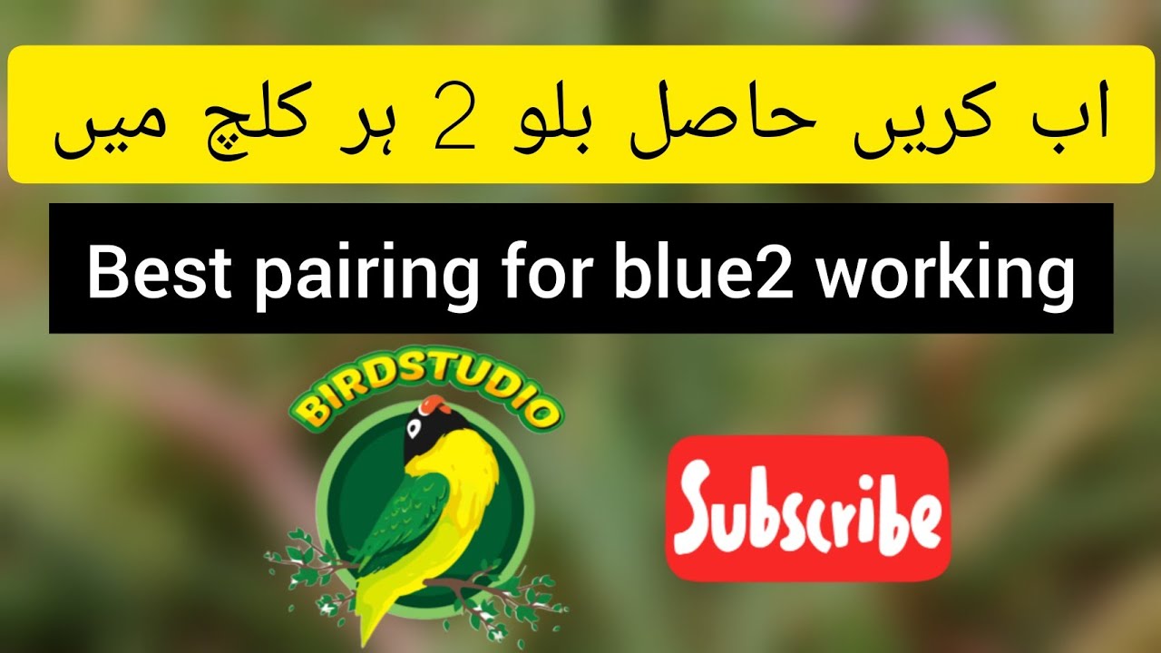 One of the best pairing for blue2 working (series video 01) - YouTube