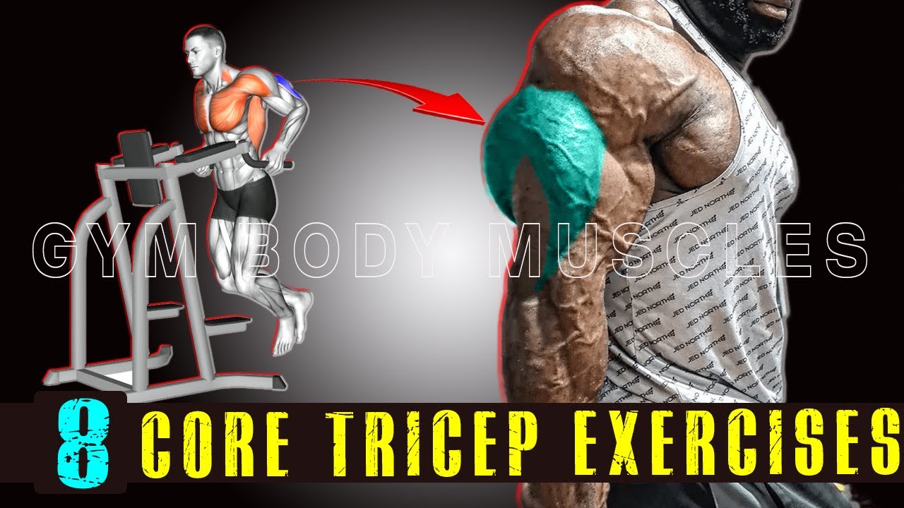 8 Core Exercises to grow Big Triceps - Gym Body Muscles - YouTube