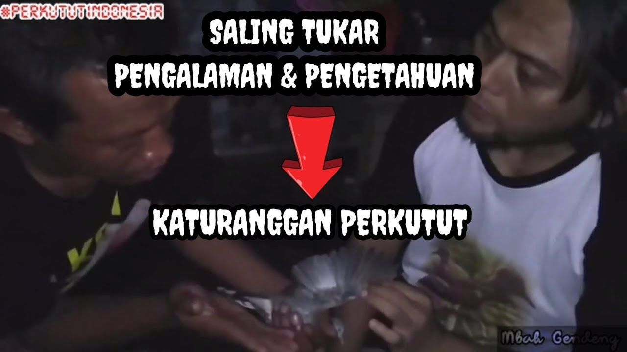 CIRI-CIRI PERKUTUT CEMANI ASLI | PERKUTUT MAJAPAHIT ASLI | PERKUTUT ...