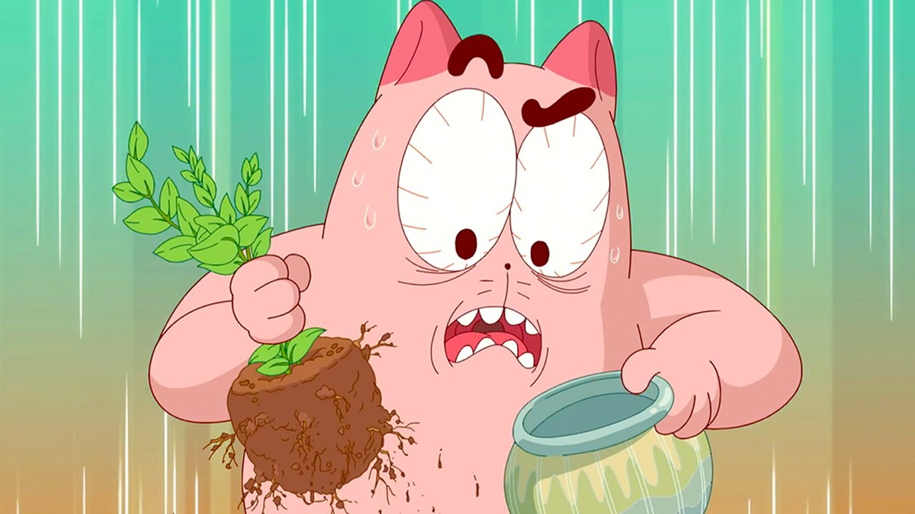 My SOCK is MISSING!! | Tata & Kuma | Cartoon For Kids - YouTube