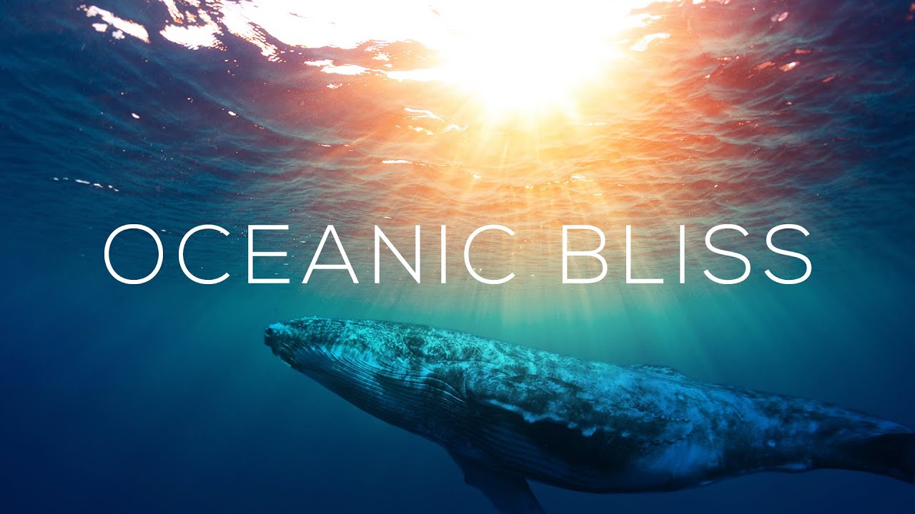 Deep Healing Music & Ocean Waves For Somatic Release, Deep Sleep ...