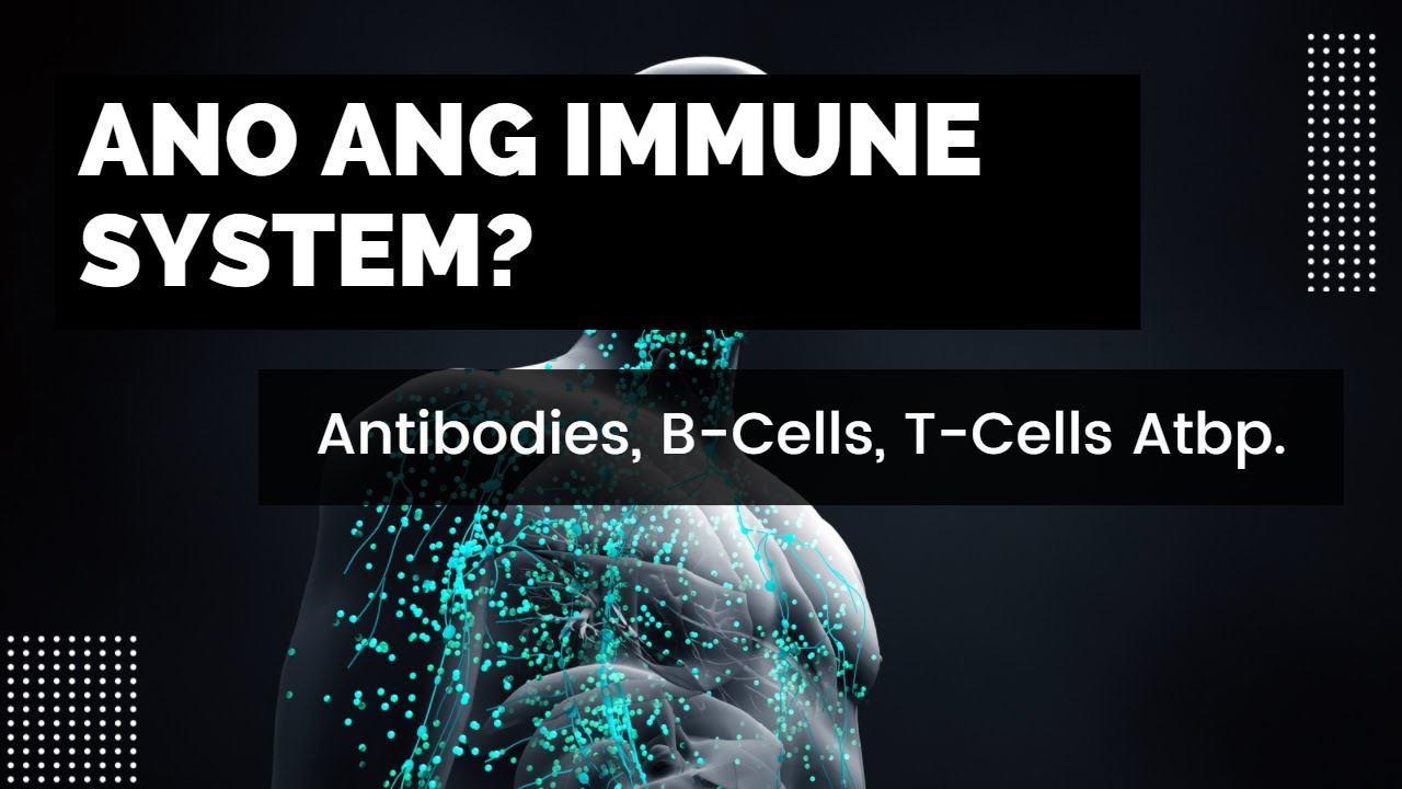 Ano Ang Immune System? - YouTube