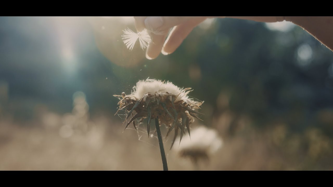 The Power Of Words - Cinematic Short Film - 4K - YouTube