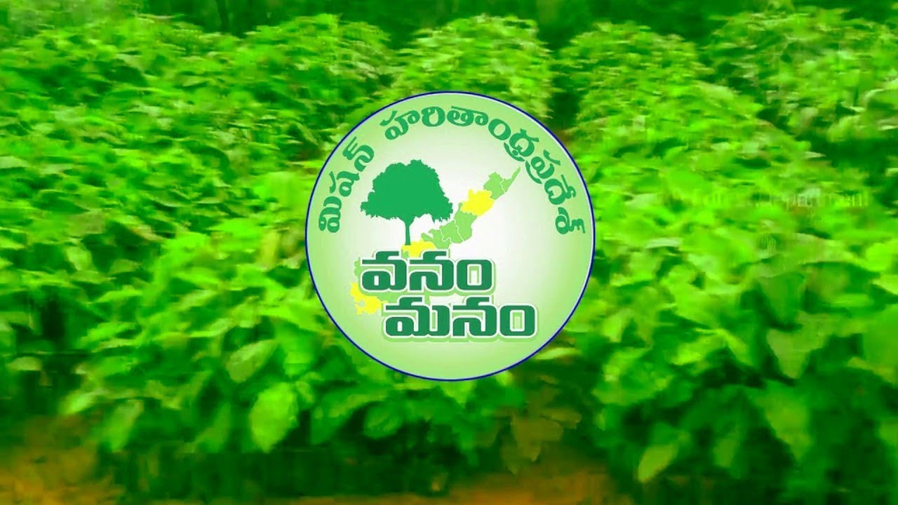 Vanam Manam programme Held in SITAM College | Top Placements ...